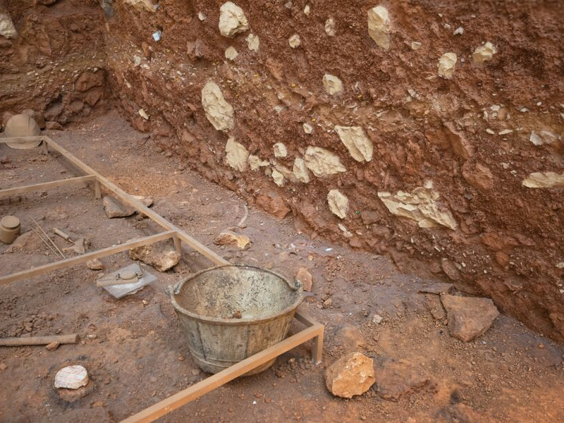 Dig Up Some Fun At Archaeology Day! | St. Tammany Parish Library