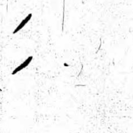 Spotlight on History: Father Adrien Rouquette, Part 1 | St. Tammany ...