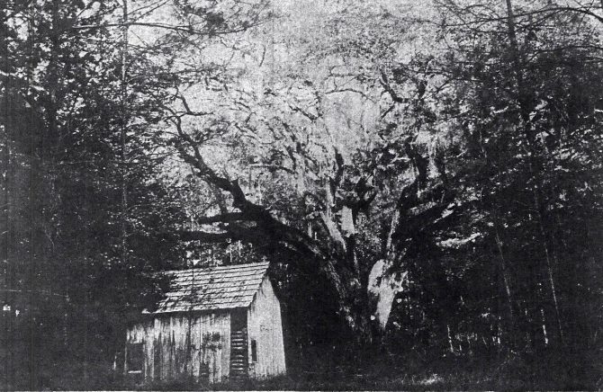 Spotlight on History: The Mardi Gras Massacre | St. Tammany Parish Library