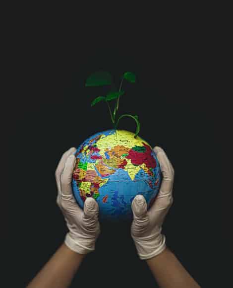 Giving Back to the Earth | St. Tammany Parish Library